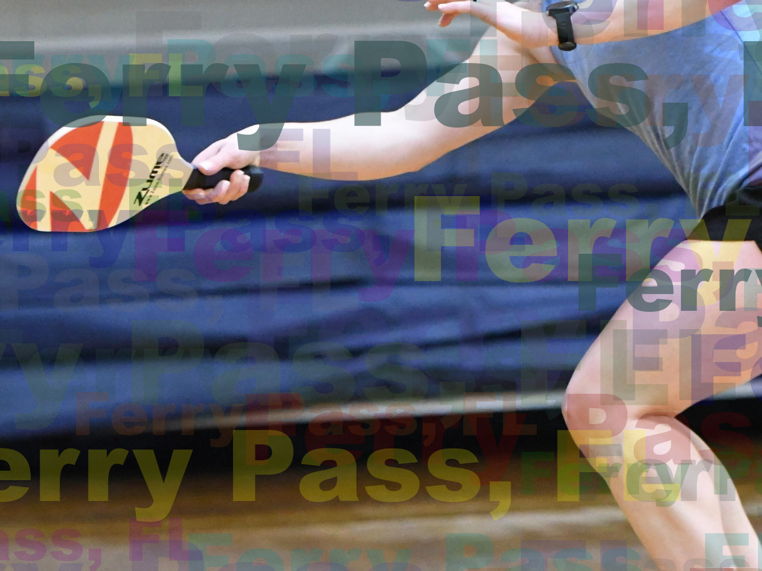 Ferry Pass FL Pickleball Courts & Community